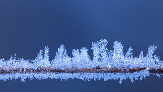 Frostblumen Bilder – Durchsuchen 165,515 Archivfotos, Vektorgrafiken ...