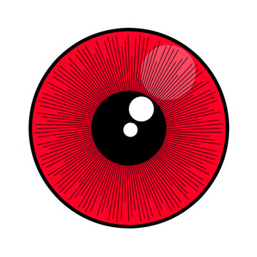 รูปภาพEyeball – เลือกดูภาพถ่ายสต็อก เวกเตอร์ และวิดีโอ15,613,592 ...