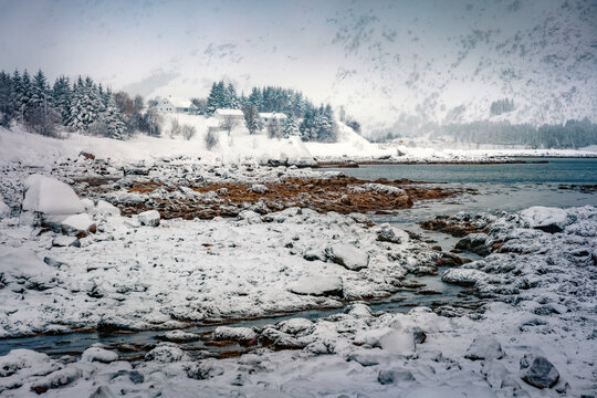 «Andrew Mayovskyy» — фотографии, изображения, ресурсы | Adobe Stock