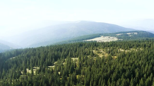 Rogla Images – Browse 536 Stock Photos, Vectors, and Video | Adobe Stock