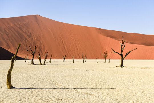 "Dooie Vlei" Imagens – Procure 117 fotos, vetores e vídeos | Adobe Stock