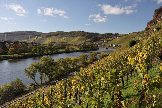 รูปภาพErden – เลือกดูภาพถ่ายสต็อก เวกเตอร์ และวิดีโอ953 | Adobe Stock