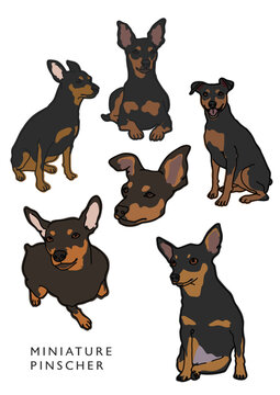 Min Pin Colors