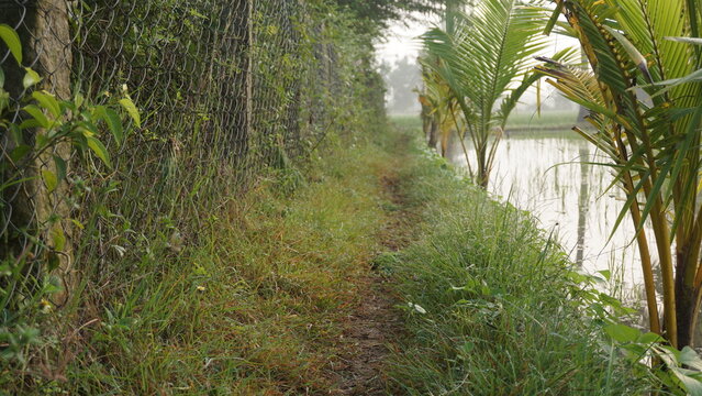 "Village Path" Images – Browse 39 Stock Photos, Vectors, and Video ...