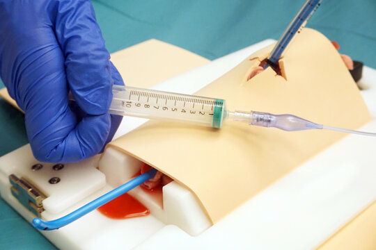 Dan Race photos, images, assets | Adobe Stock