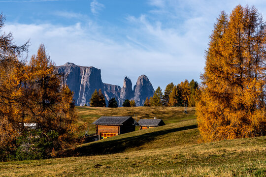 รูปภาพJesien – เลือกดูภาพถ่ายสต็อก เวกเตอร์ และวิดีโอ1,792 | Adobe Stock
