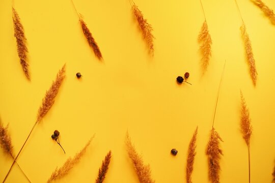 Imagens de Banch – Explore Fotografias do Stock, Vetores e Vídeos de ...