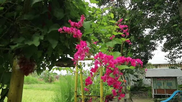 "Menstrual Cramps" Images – Browse 10,828 Stock Photos, Vectors, and Video | Adobe Stock