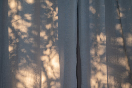 Tuling bilder – Bläddra bland 47,245 stockfoton, vektorer och videor ...