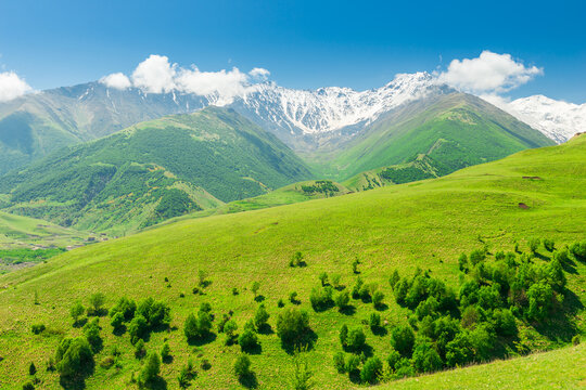 Obrázky Madumbi – procházejte fotografie, vektory a videa 27,990 ...