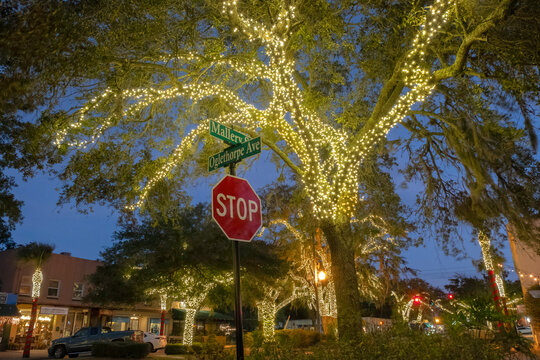 Guy Bryant photos, images, assets | Adobe Stock