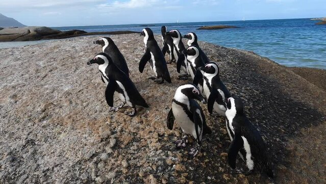 K4 Bilder – Durchsuchen 303 Archivfotos, Vektorgrafiken und Videos ...