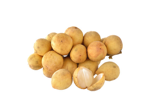 Lanzones Bilder – Durchsuchen 3,301 Archivfotos, Vektorgrafiken und ...