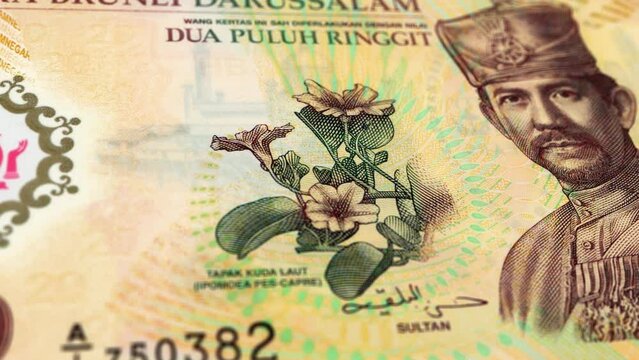 "Brunei Dollar" Images – Browse 1,364 Stock Photos, Vectors, and Video ...