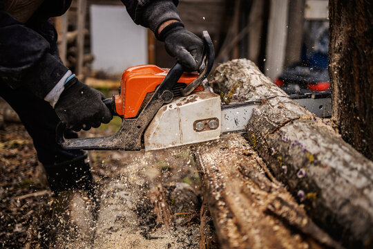 Lumberjacking Imagens – Procure 381,144 fotos, vetores e vídeos | Adobe ...