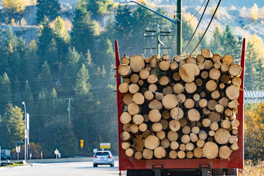 Lumber Delivery Truck Images – Browse 2,345 Stock Photos, Vectors, and ...