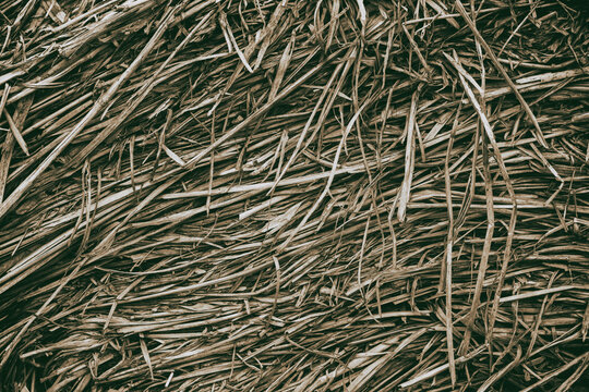 "Straw Background" Images – Browse 861 Stock Photos, Vectors, and Video ...