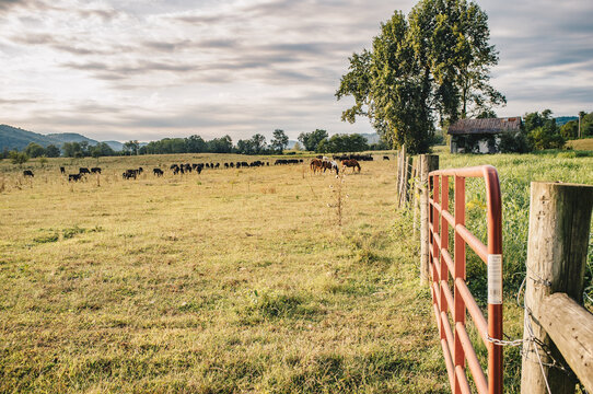 "Farm Land" Images – Browse 17,138 Stock Photos, Vectors, and Video ...
