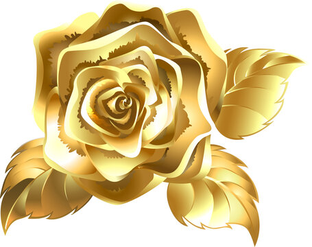 Gold And Rose Outline Images – Browse 9,574 Stock Photos, Vectors, and ...