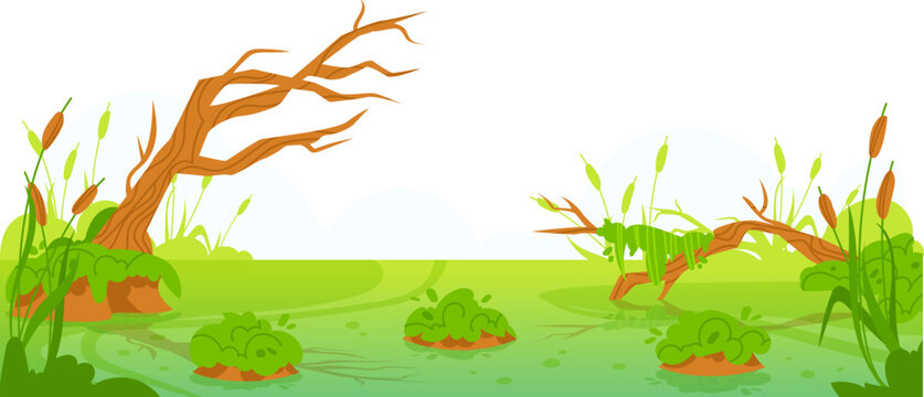 Imágenes de Marshes: descubre bancos de fotos, ilustraciones, vectores ...