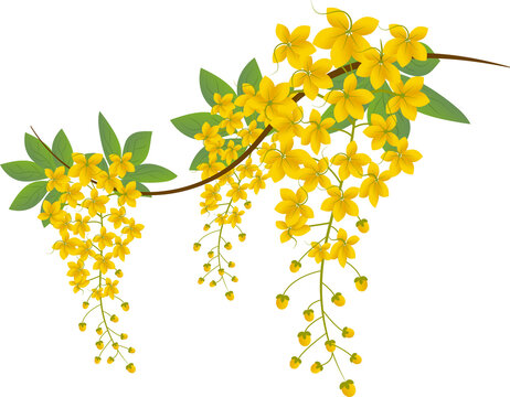 รูปภาพKanikkonna – เลือกดูภาพถ่ายสต็อก เวกเตอร์ และวิดีโอ10,929 | Adobe ...