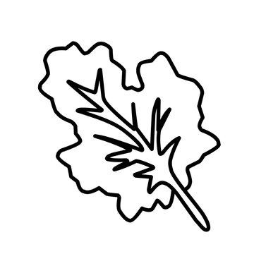 Chicory Icon Bilder – Durchsuchen 519 Archivfotos, Vektorgrafiken und ...