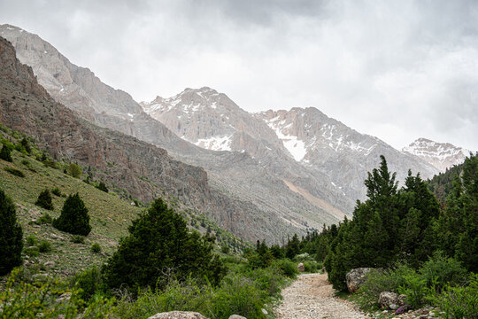 Emli Images – Browse 68 Stock Photos, Vectors, and Video | Adobe Stock