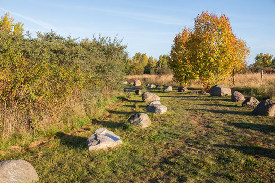 Foundling Bilder – Durchsuchen 2,092 Archivfotos, Vektorgrafiken und ...