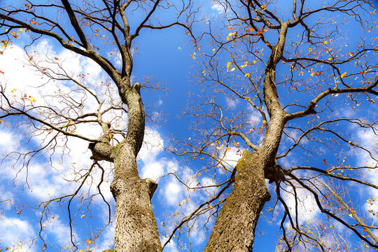 Dinusha photos, images, assets | Adobe Stock