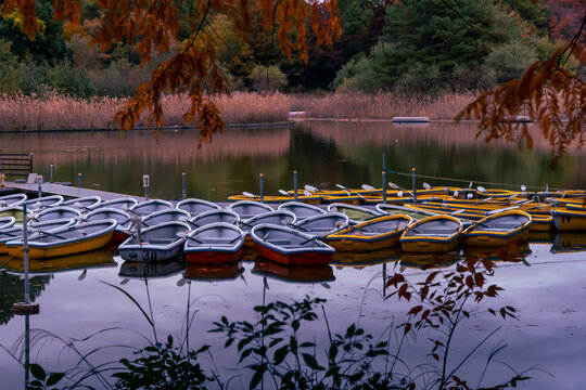 Dinusha photos, images, assets | Adobe Stock