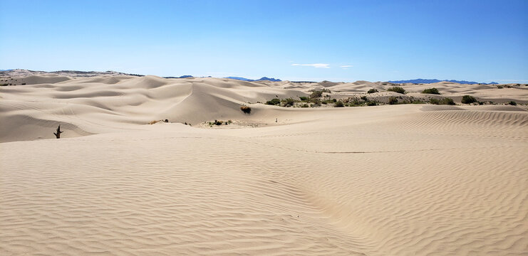 "Little Sahara" - Images et vidéos libres de droits | Adobe Stock