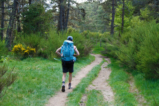 Imágenes de Gr65: descubre bancos de fotos, ilustraciones, vectores y ...