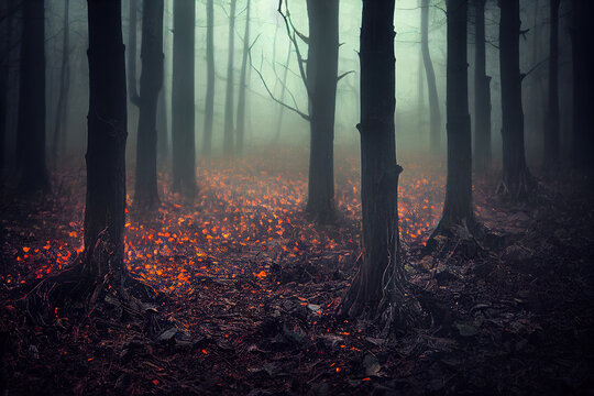 "Dunkle Bilder – Durchsuchen 340,848 Archivfotos, Vektorgrafiken und ...