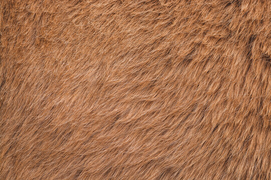 รูปภาพFell – เลือกดูภาพถ่ายสต็อก เวกเตอร์ และวิดีโอ7,846,503 | Adobe Stock