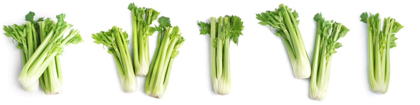 Freshing Images – Browse 35,531,107 Stock Photos, Vectors, and Video ...