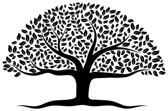 Stub Bilder – Durchsuchen 40,867 Archivfotos, Vektorgrafiken und Videos ...