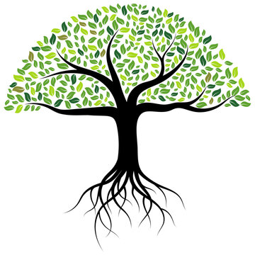 Stub Bilder – Durchsuchen 40,867 Archivfotos, Vektorgrafiken und Videos ...