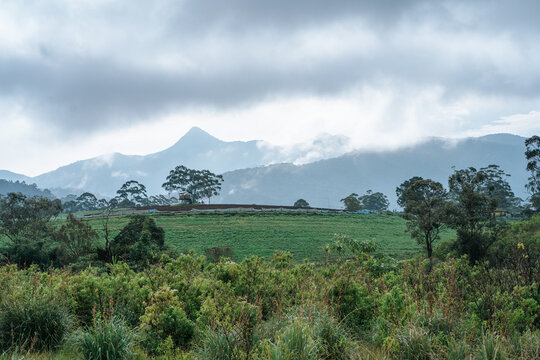 Orning Images – Browse 1,048 Stock Photos, Vectors, and Video | Adobe Stock