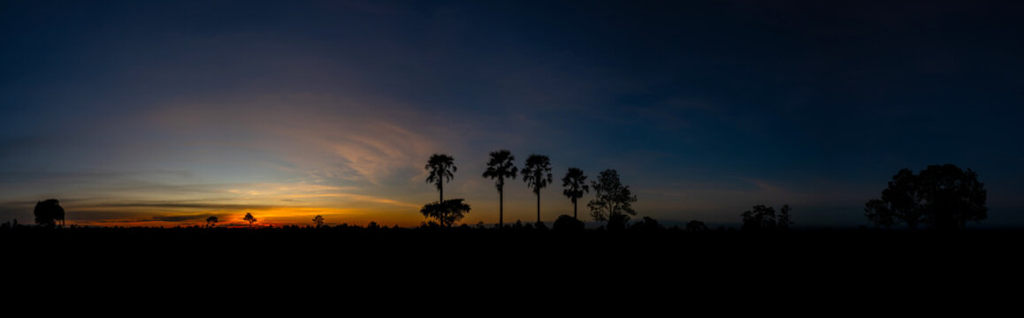 รูปภาพPalmiche – เลือกดูภาพถ่ายสต็อก เวกเตอร์ และวิดีโอ1,934 | Adobe Stock