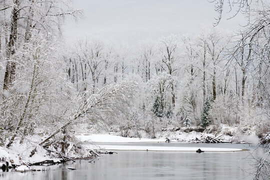 「Qiet」の写真素材 | 41件の無料イラスト画像 | Adobe Stock