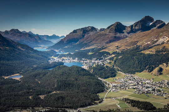 รูปภาพCelerina – เลือกดูภาพถ่ายสต็อก เวกเตอร์ และวิดีโอ1,170 | Adobe Stock