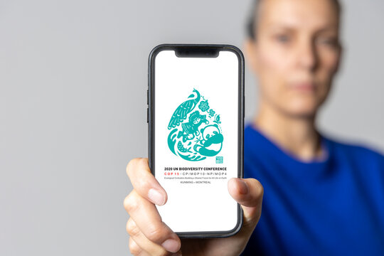 Protokoll bilder – Bläddra bland 293,094 stockfoton, vektorer och ...