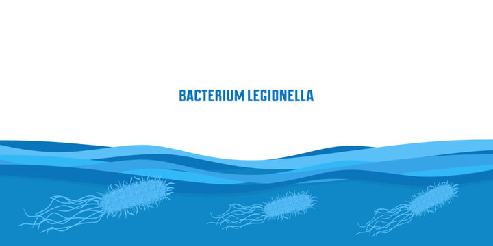 รูปภาพLegionnaire – เลือกดูภาพถ่ายสต็อก เวกเตอร์ และวิดีโอ9,972 | Adobe ...