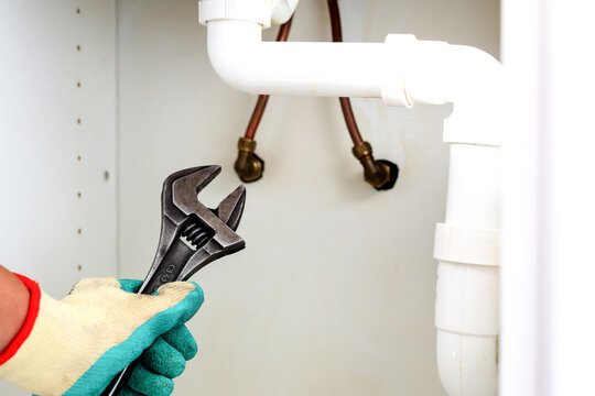 Verschwenderisch Bilder – Durchsuchen 38,451 Archivfotos ...