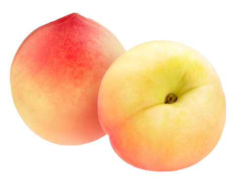 รูปภาพRosaceae – เลือกดูภาพถ่ายสต็อก เวกเตอร์ และวิดีโอ79,141 | Adobe Stock