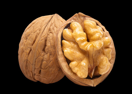 Open Nutshell Bilder – Durchsuchen 41,414 Archivfotos, Vektorgrafiken ...