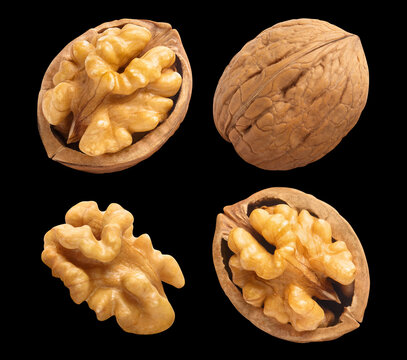 Open Nutshell Bilder – Durchsuchen 41,414 Archivfotos, Vektorgrafiken ...