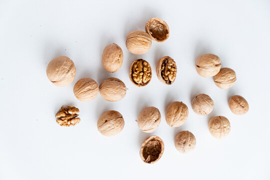 Open Nutshell Bilder – Durchsuchen 41,414 Archivfotos, Vektorgrafiken ...