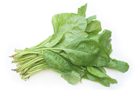Spinach Bunch Images – Browse 12,568 Stock Photos, Vectors, and Video ...