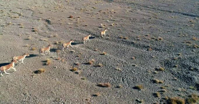 Sinkiang Bilder – Durchsuchen 1,259 Archivfotos, Vektorgrafiken und ...